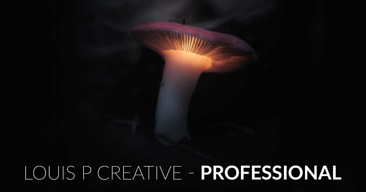 Professional – Louis P Creative